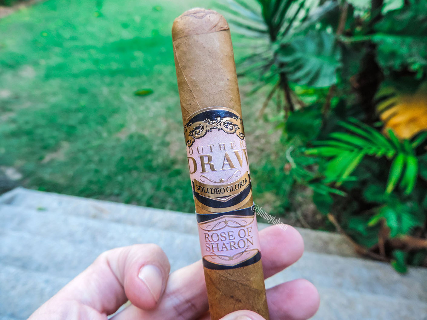 Southern Draw – Rose of Sharon (Toro) – Humo y Tabaco