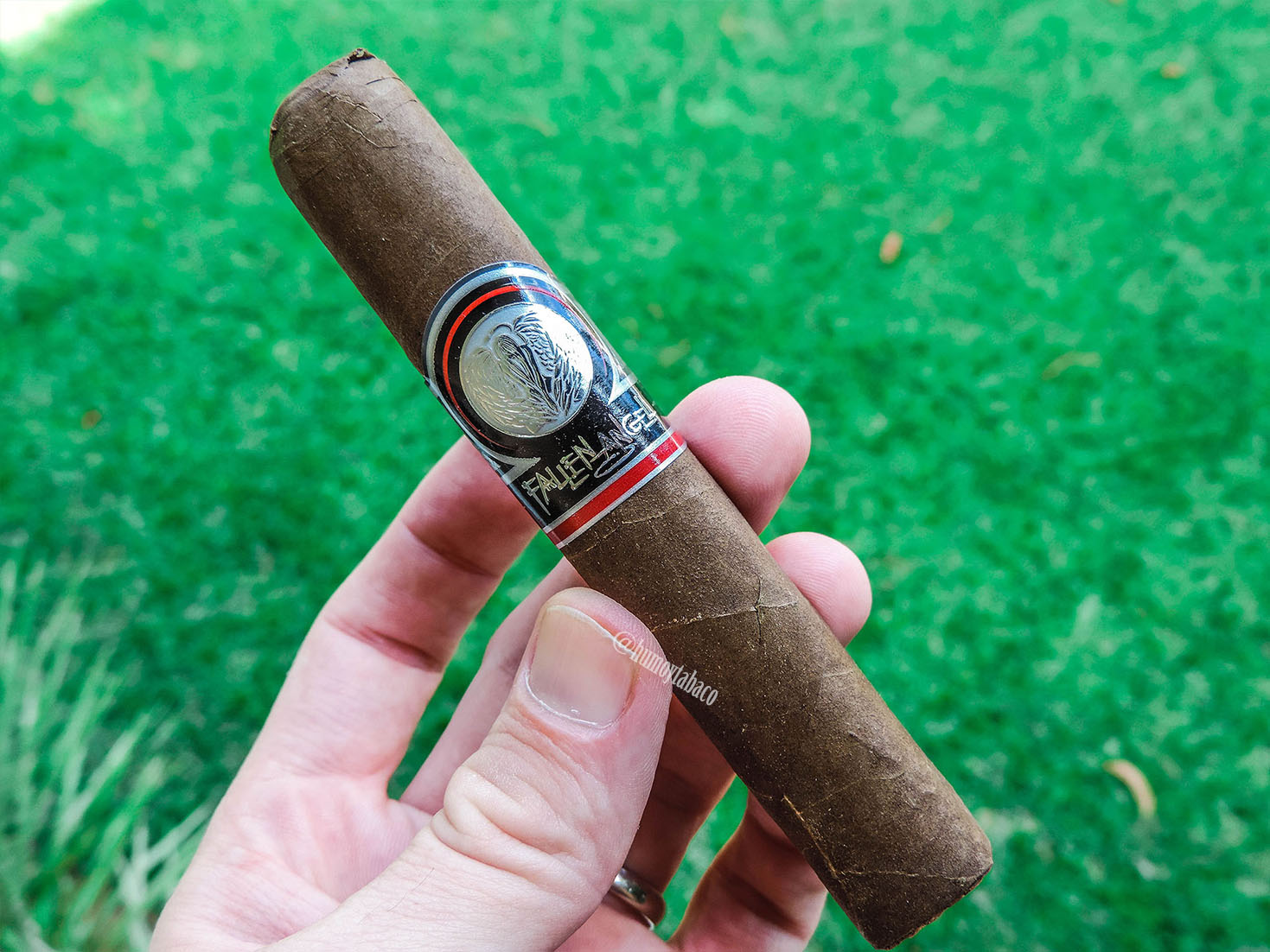 Fallen Angel – Devil’s Ink – Humo y Tabaco