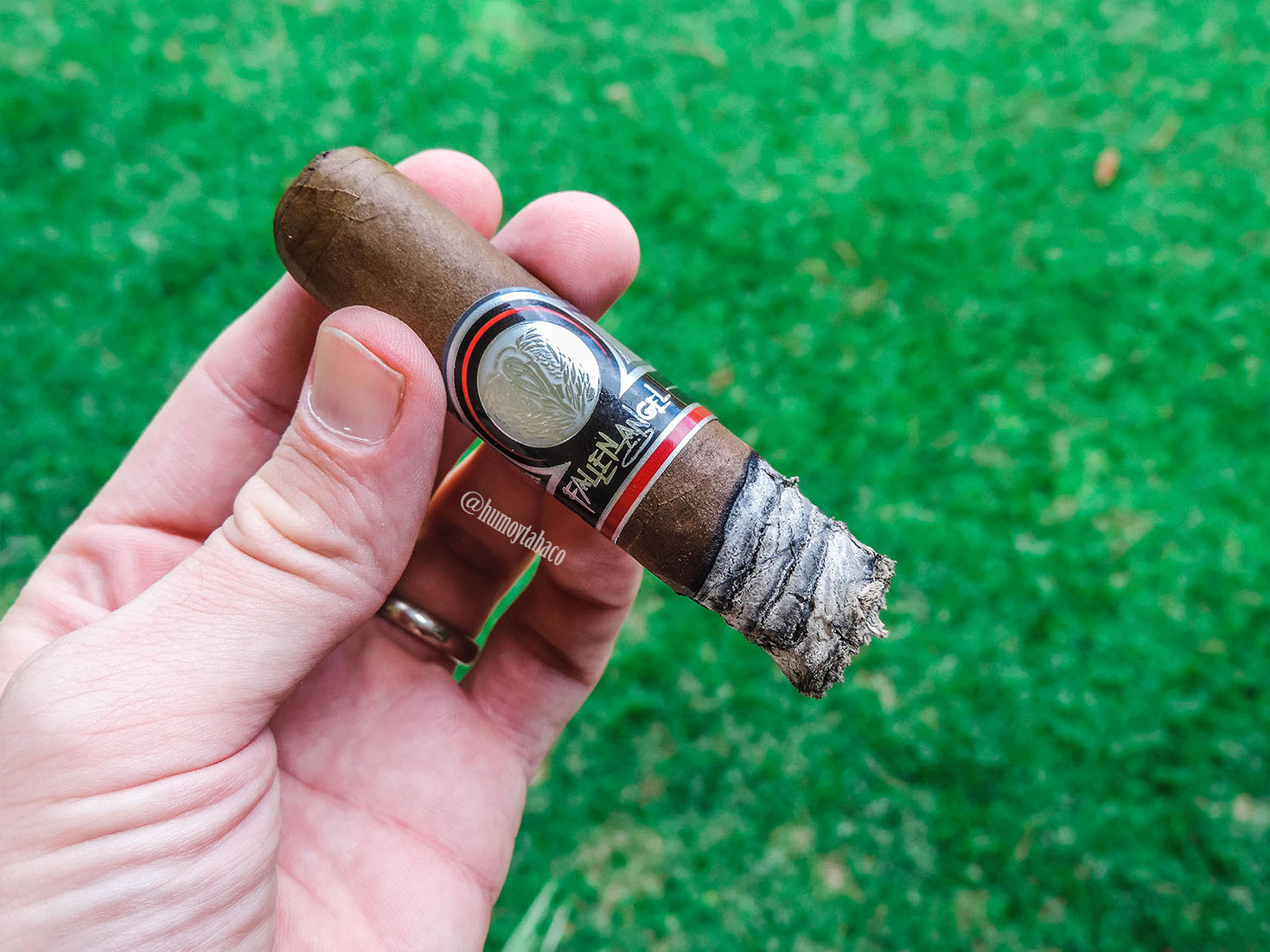 Fallen Angel – Devil’s Ink – Humo y Tabaco