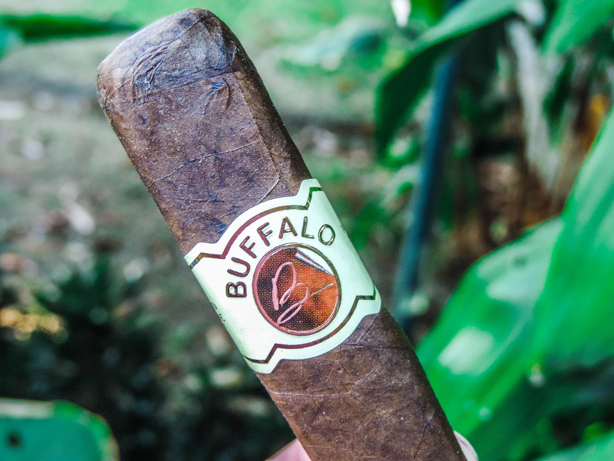 Buffalo – Box Press Maduro (Gordo) – Humo y Tabaco