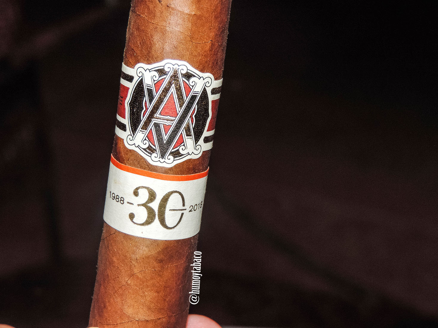 AVO – Signature 30 Years (Robusto) – Humo y Tabaco