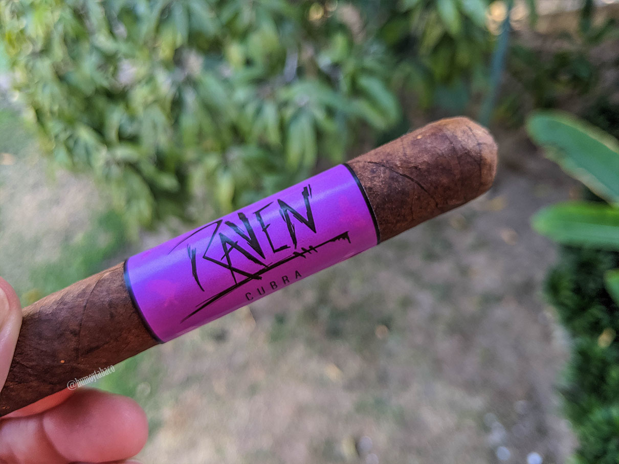 Blackbird – Raven (Robusto) – Humo y Tabaco