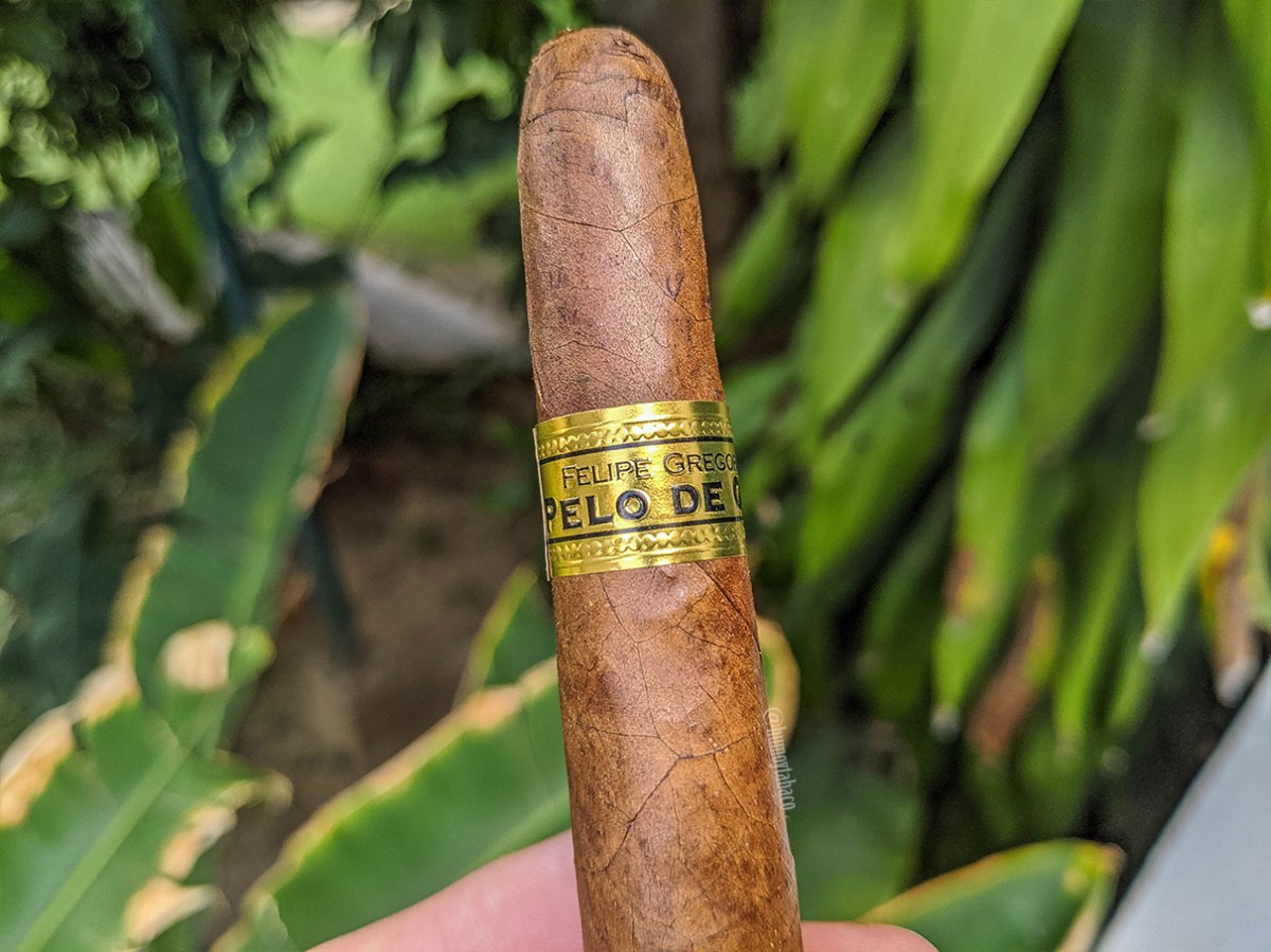 Felipe Gregorio – Pelo de Oro (Pirámide) – Humo y Tabaco