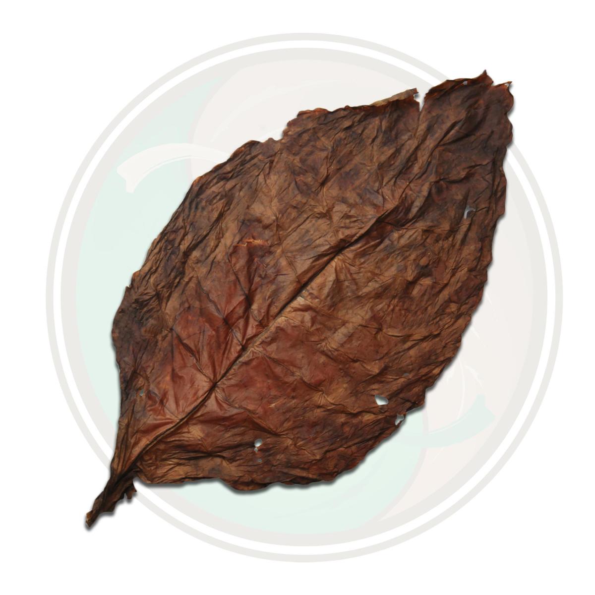 Mis 5 cigarros preferidos en capa Habano – Humo y Tabaco