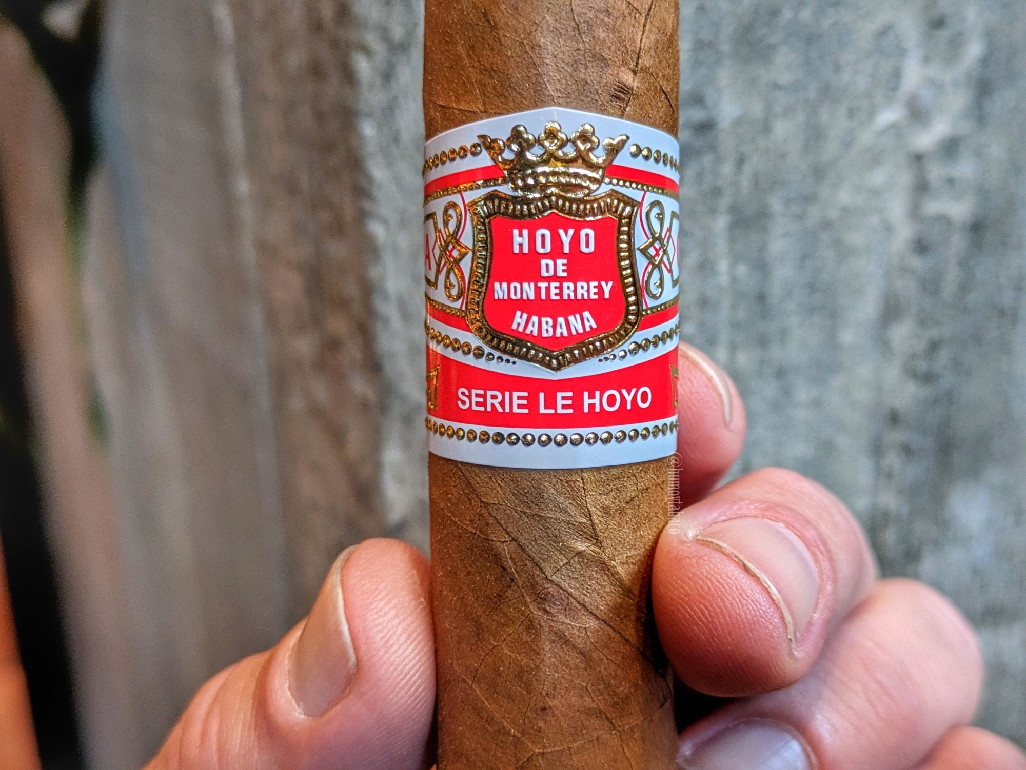 Hoyo de Monterrey – Serie Le Hoyo Río Seco – Humo y Tabaco