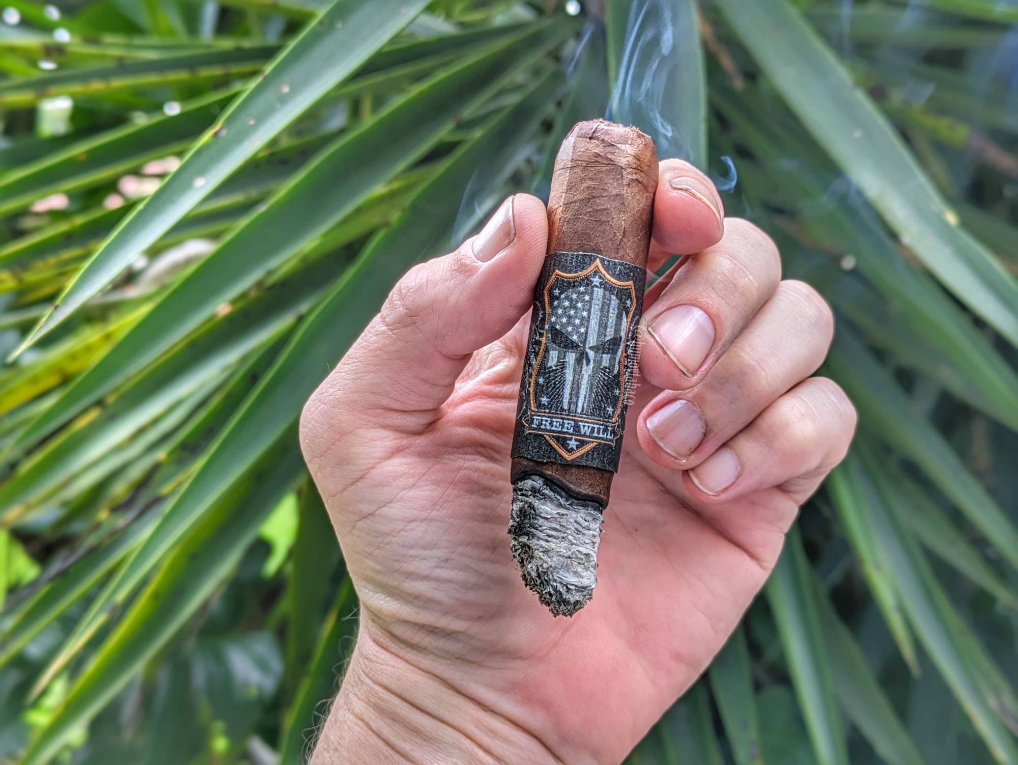 Oliva – Free Will (Robusto Grande) – Humo y Tabaco