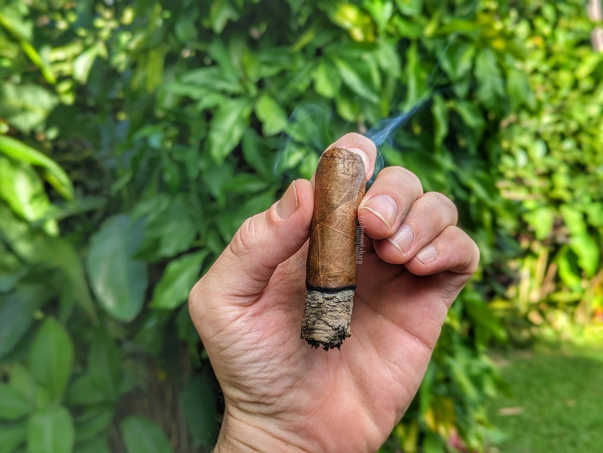 Fuller – Fidelio (Robusto) – Humo y Tabaco