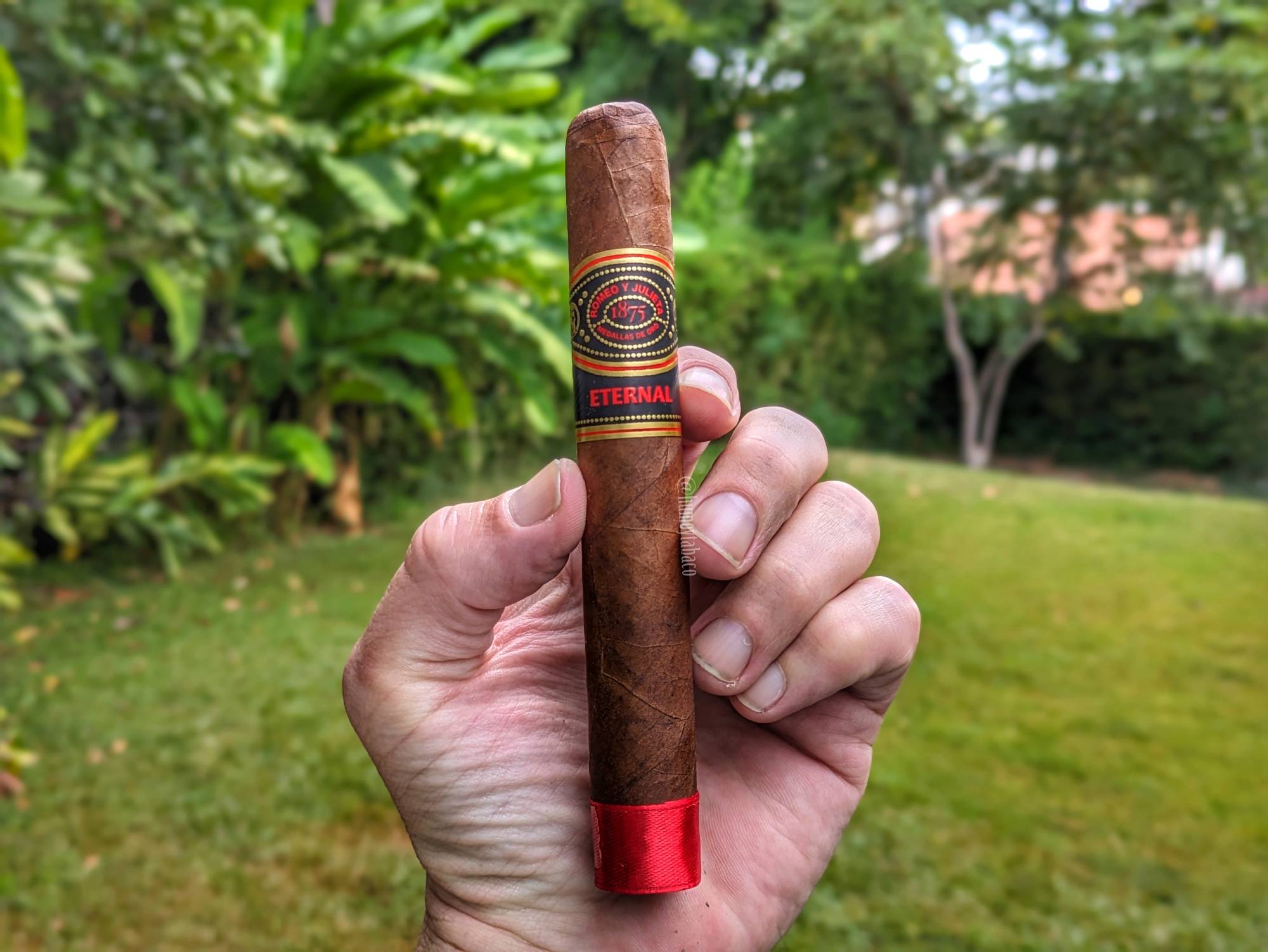 Romeo y Julieta – Eternal (Toro) – Humo y Tabaco