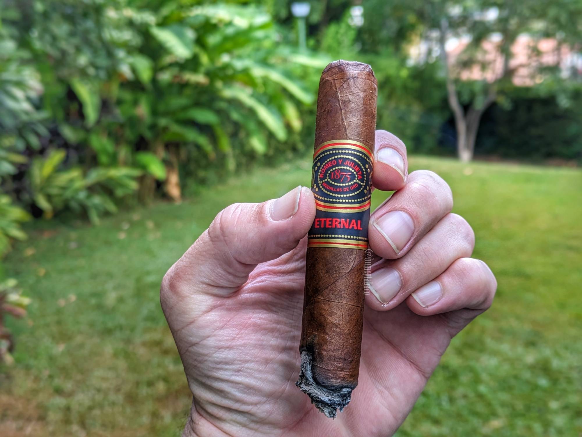 Romeo y Julieta – Eternal (Toro) – Humo y Tabaco