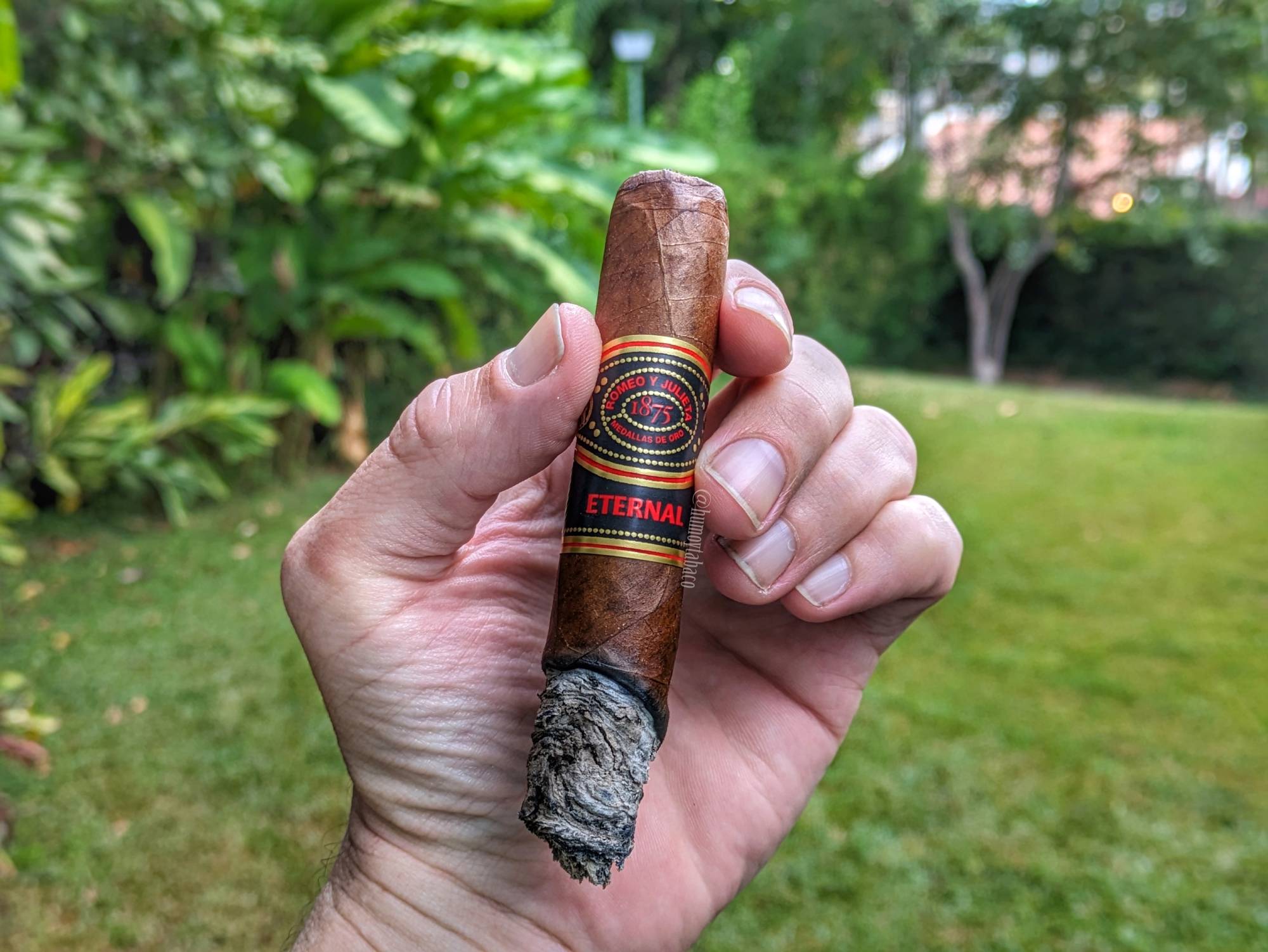 Romeo y Julieta – Eternal (Toro) – Humo y Tabaco