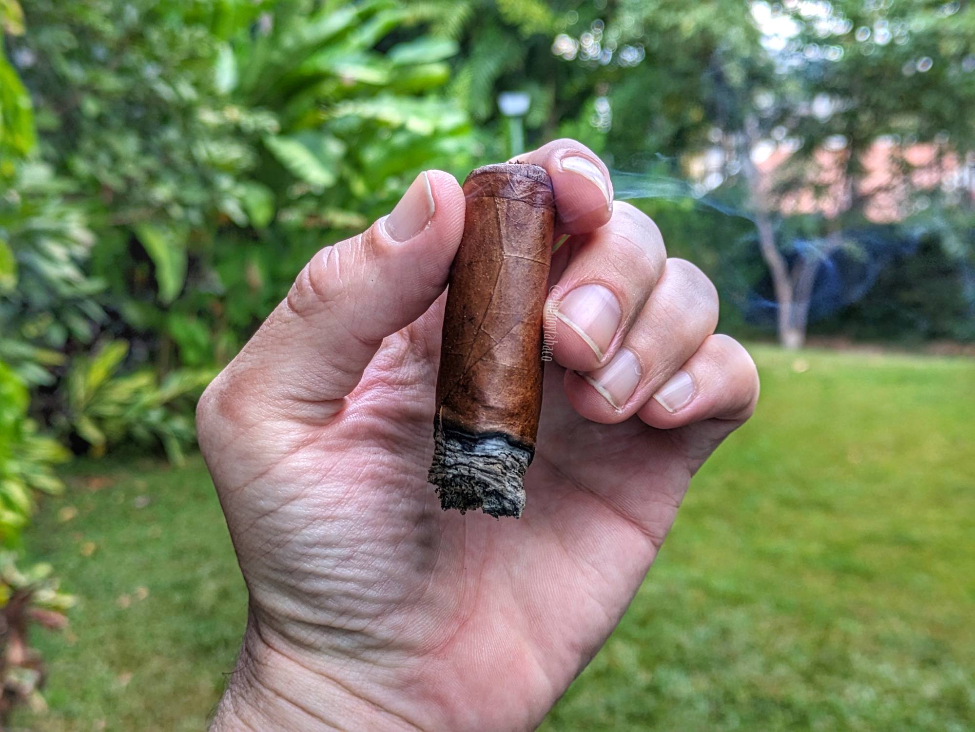Romeo y Julieta – Eternal (Toro) – Humo y Tabaco