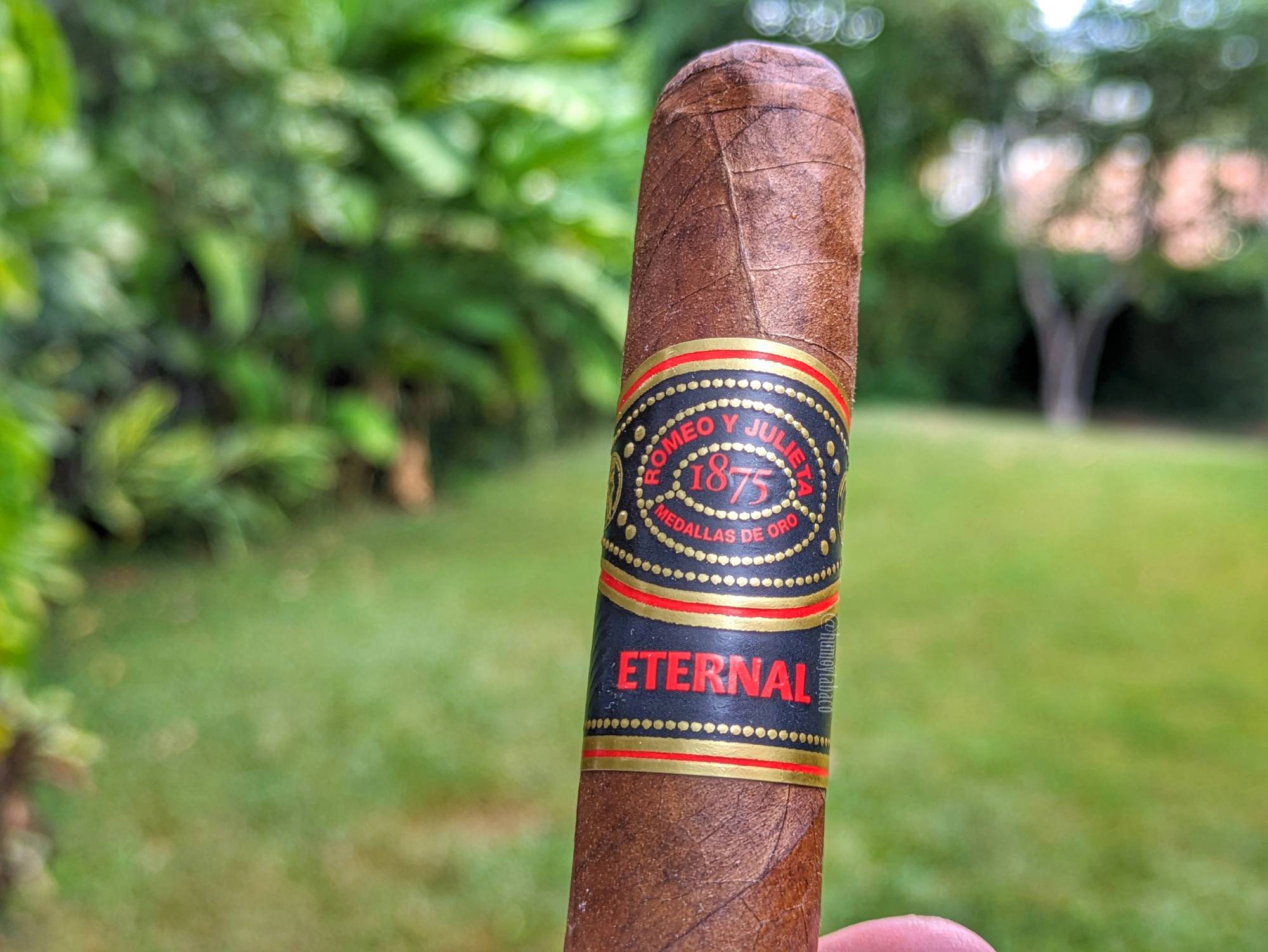 Romeo y Julieta – Eternal (Toro) – Humo y Tabaco