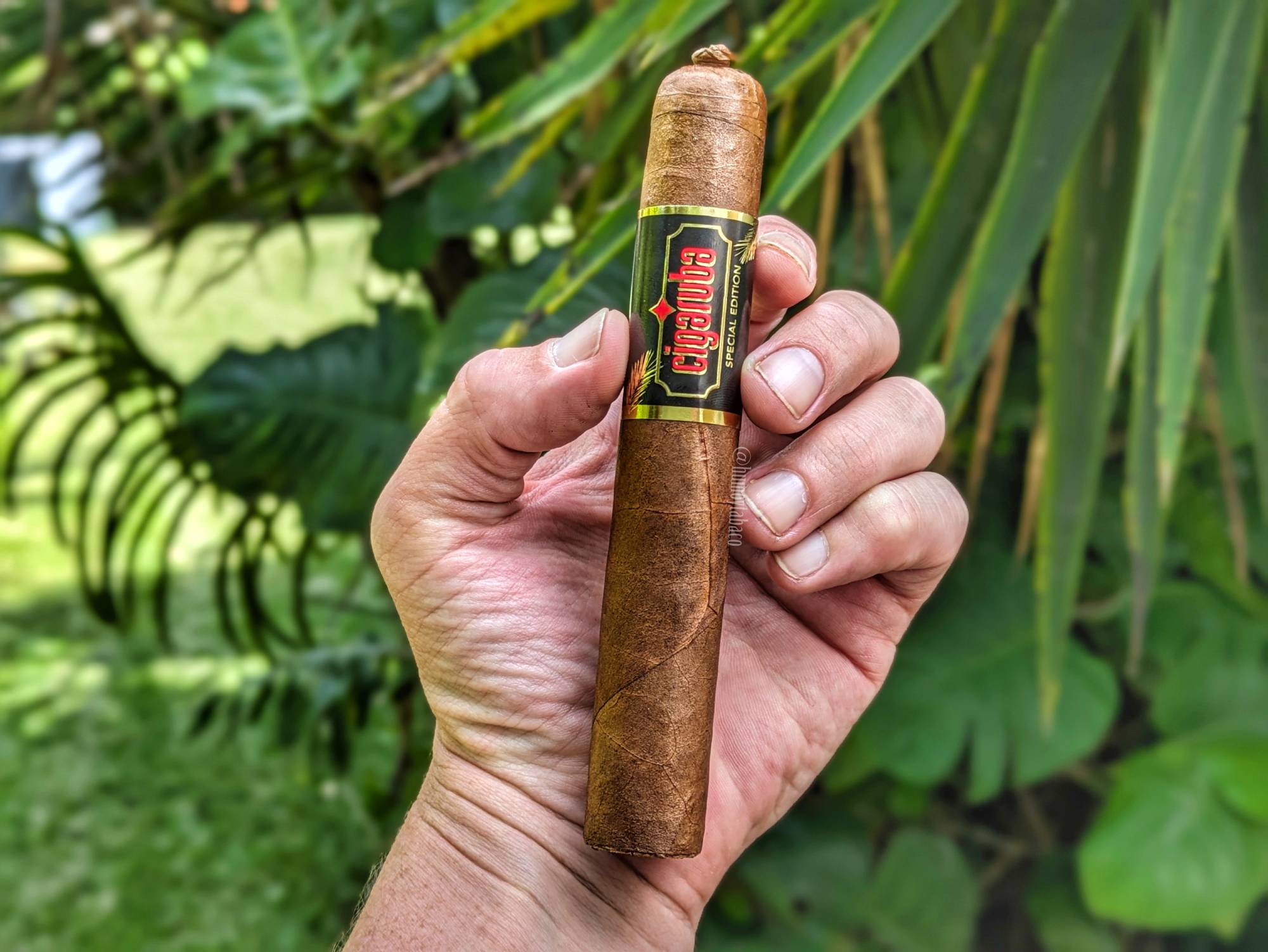 Cigaruba – Habano Special Edition (Gordo) – Humo y Tabaco
