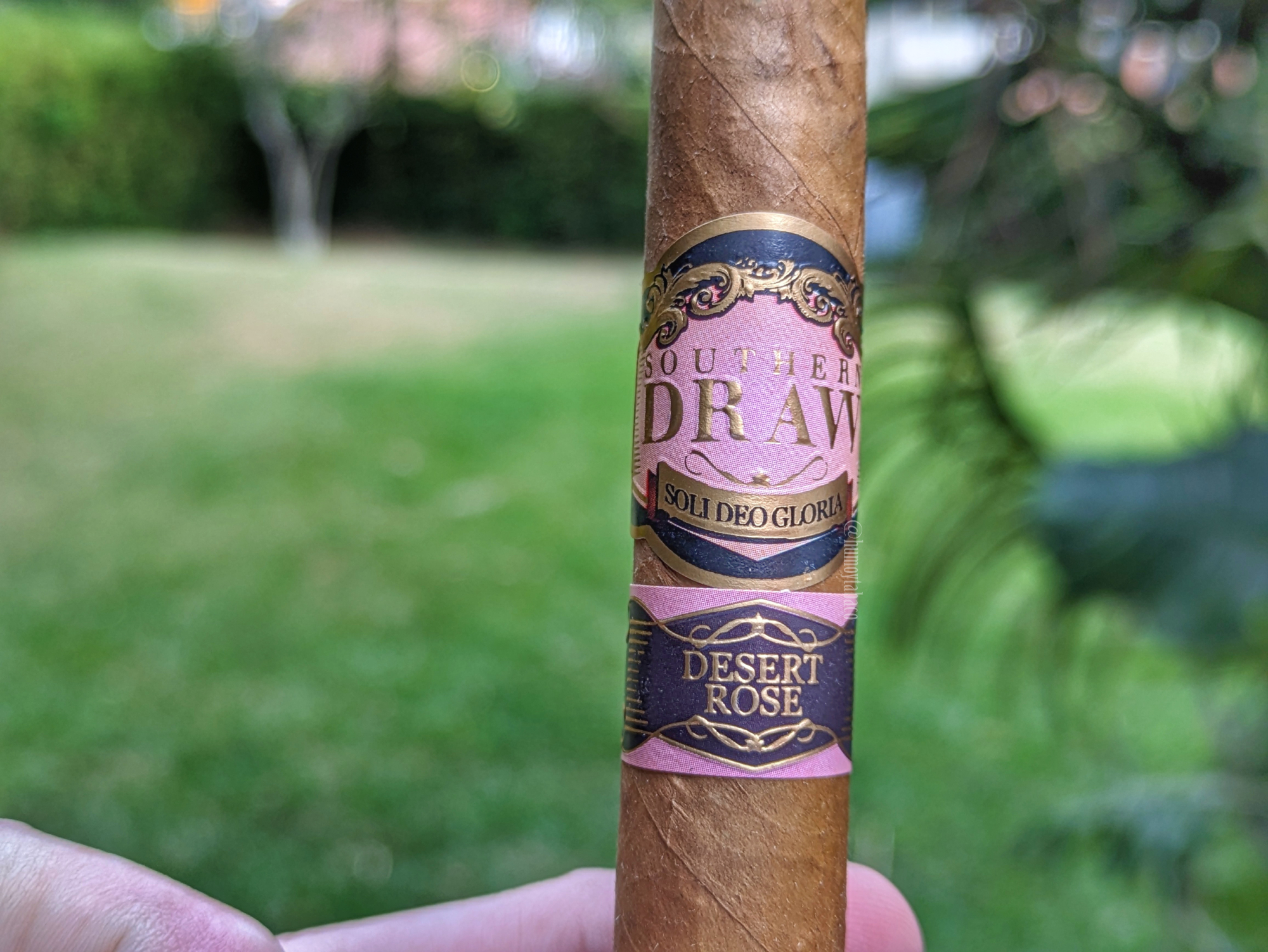 Southern Draw – Desert Rose (Lonsdale) – Humo y Tabaco