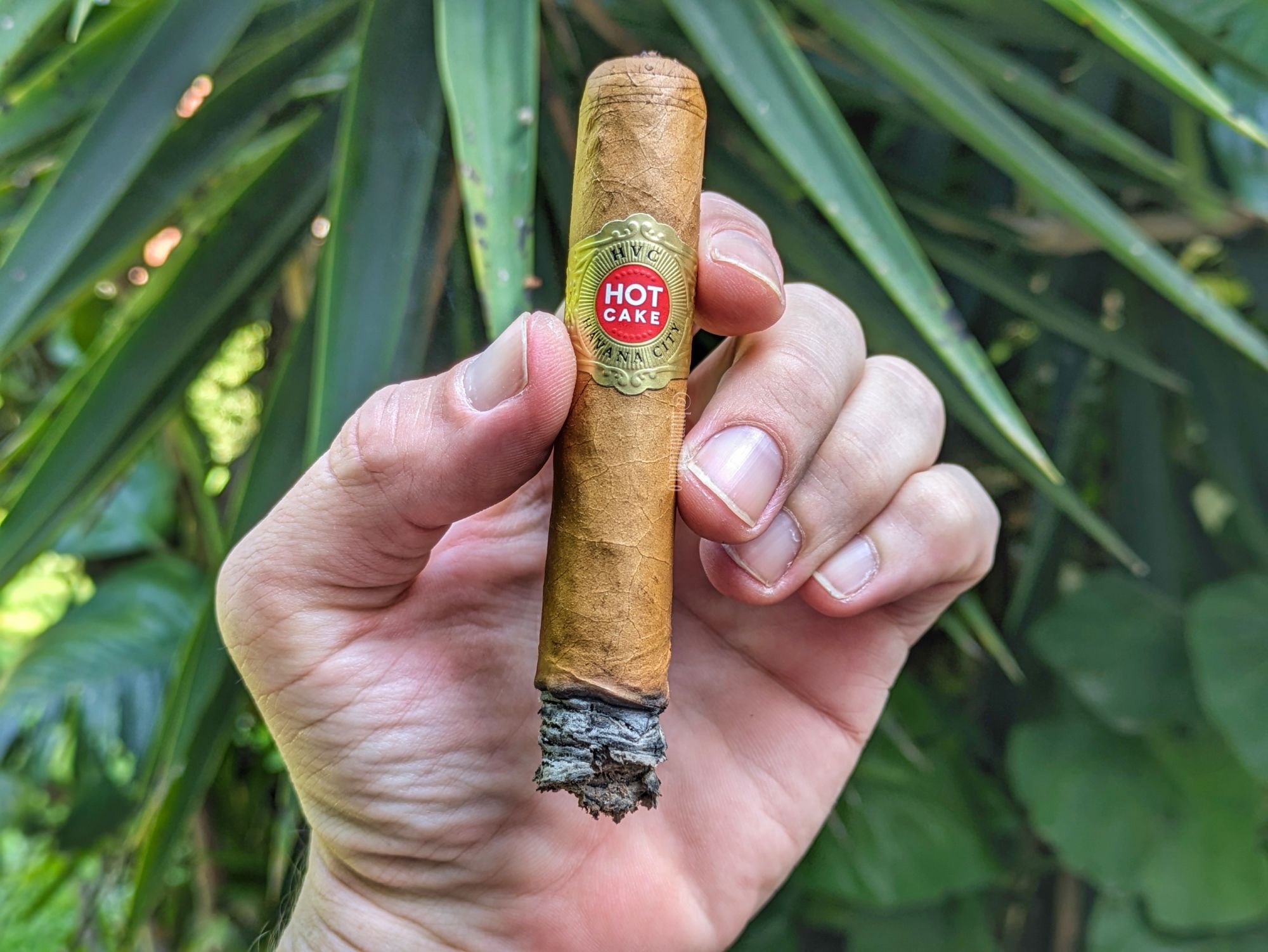 HVC – Hot Cake Golden Line (Corona Gorda) – Humo y Tabaco