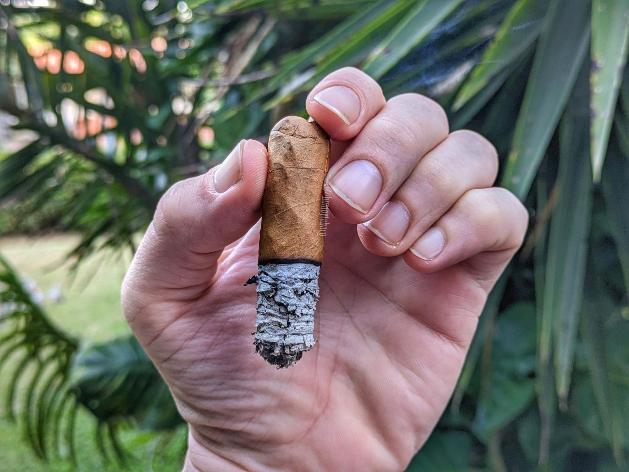 La Instructora – Delicado (Corona) – Humo y Tabaco