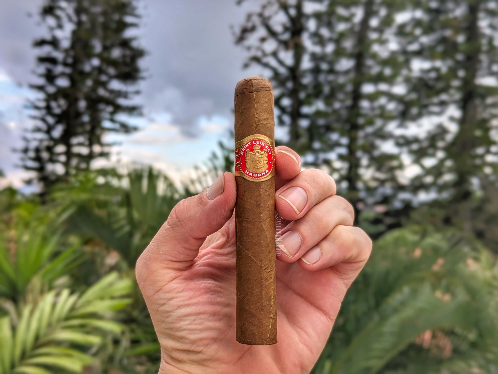 Saint Luis Rey – Regios – Humo y Tabaco