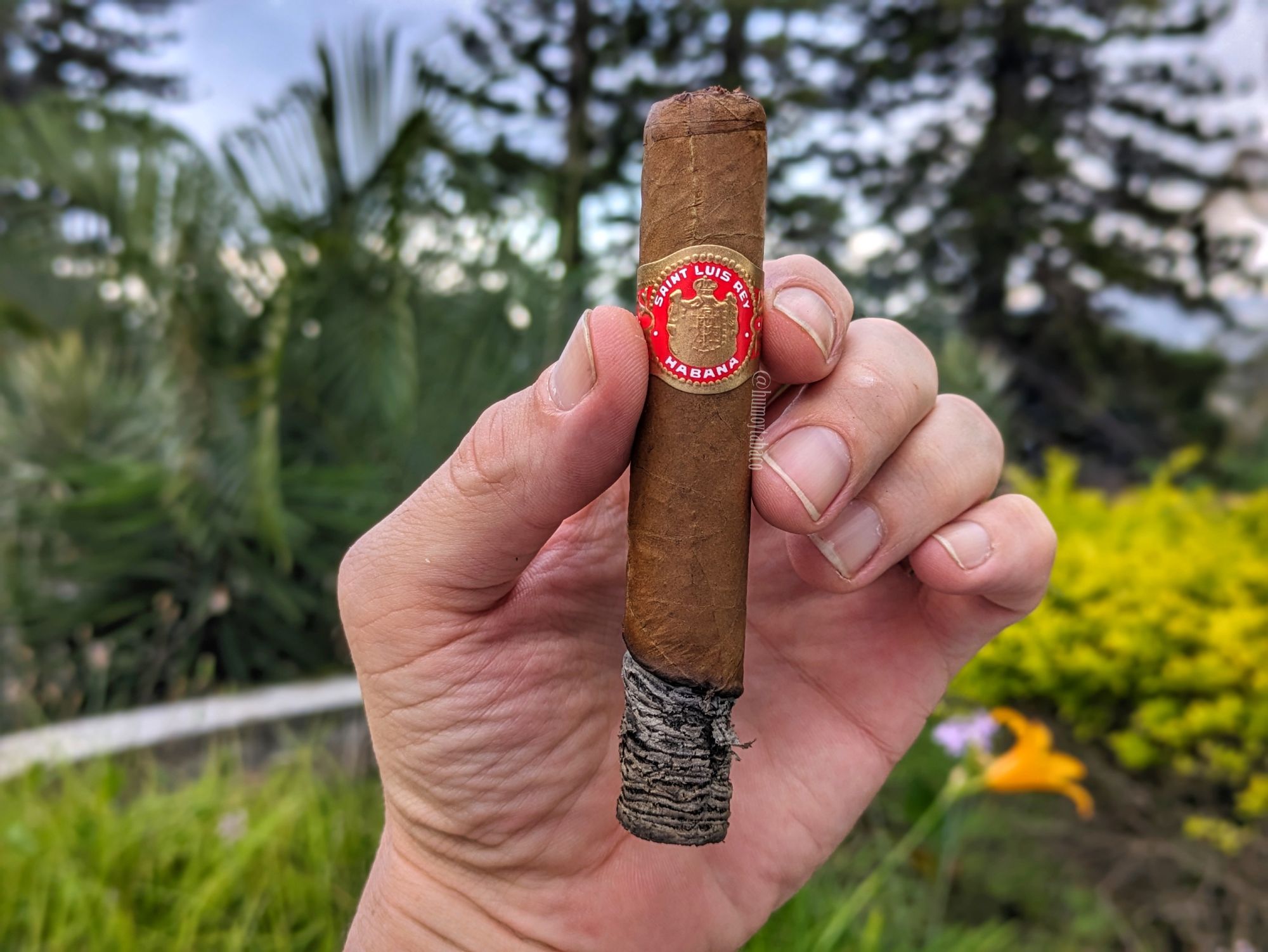 Saint Luis Rey – Regios – Humo y Tabaco