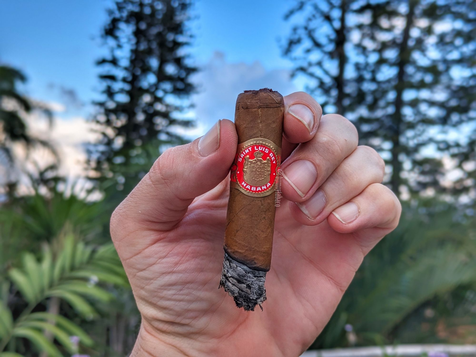 Saint Luis Rey – Regios – Humo y Tabaco