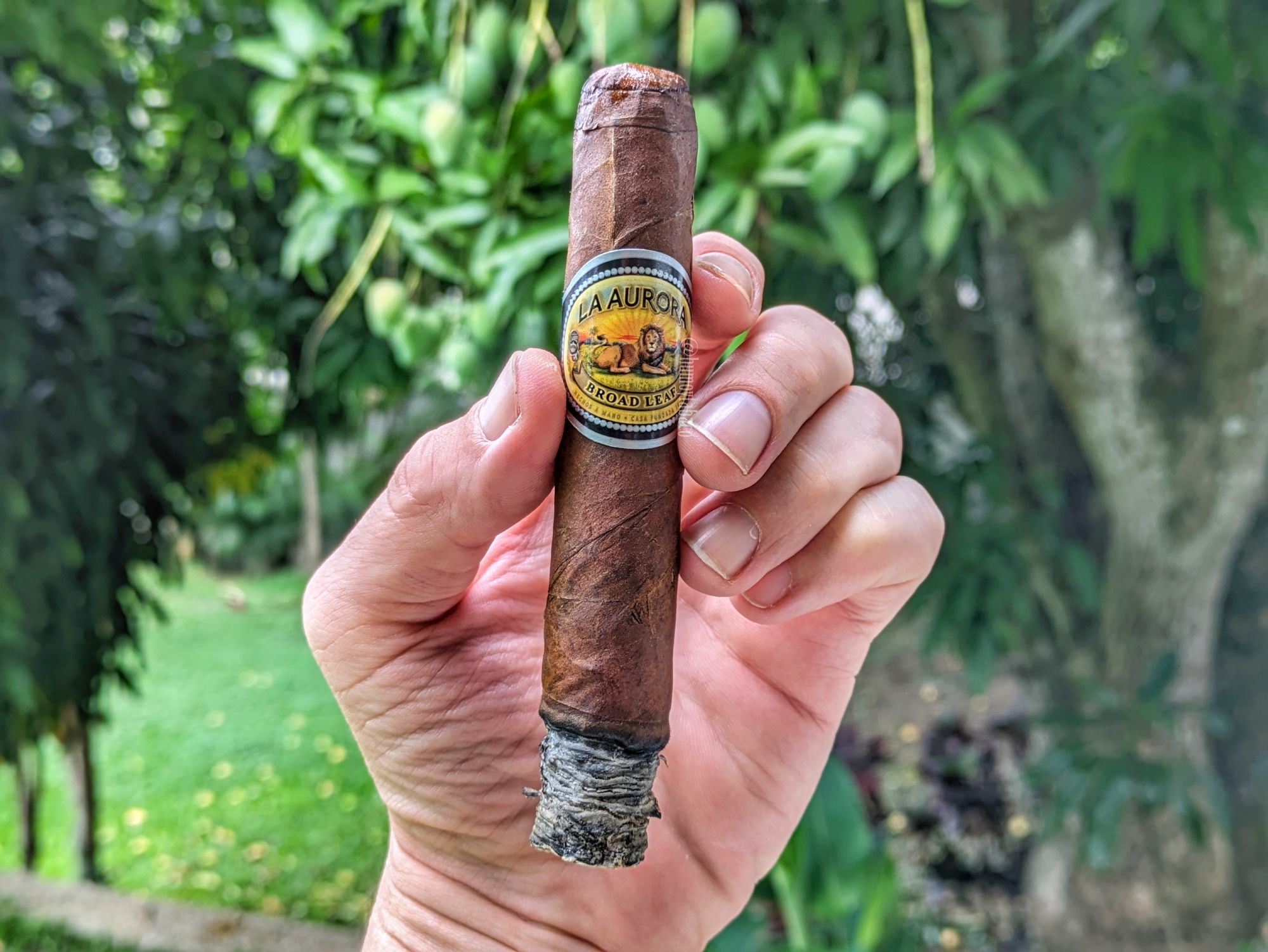 Humo y Tabaco – Mis impresiones sobre puros, tabacos, habanos y ...