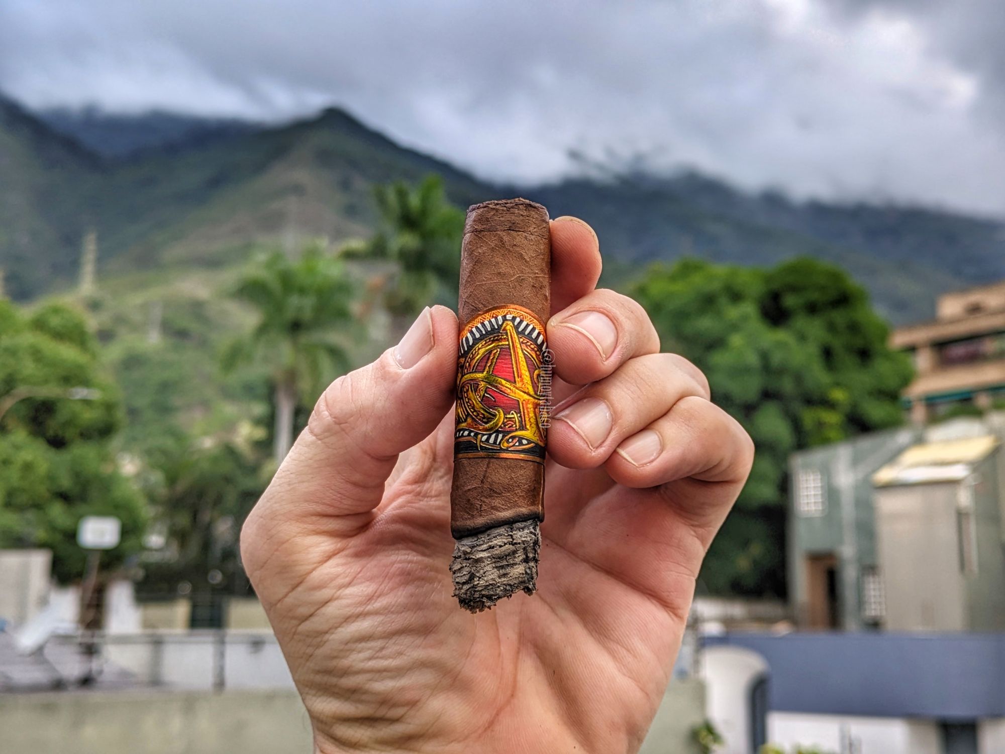 Nestor Miranda – Don Lino Africa (Robusto) – Humo y Tabaco