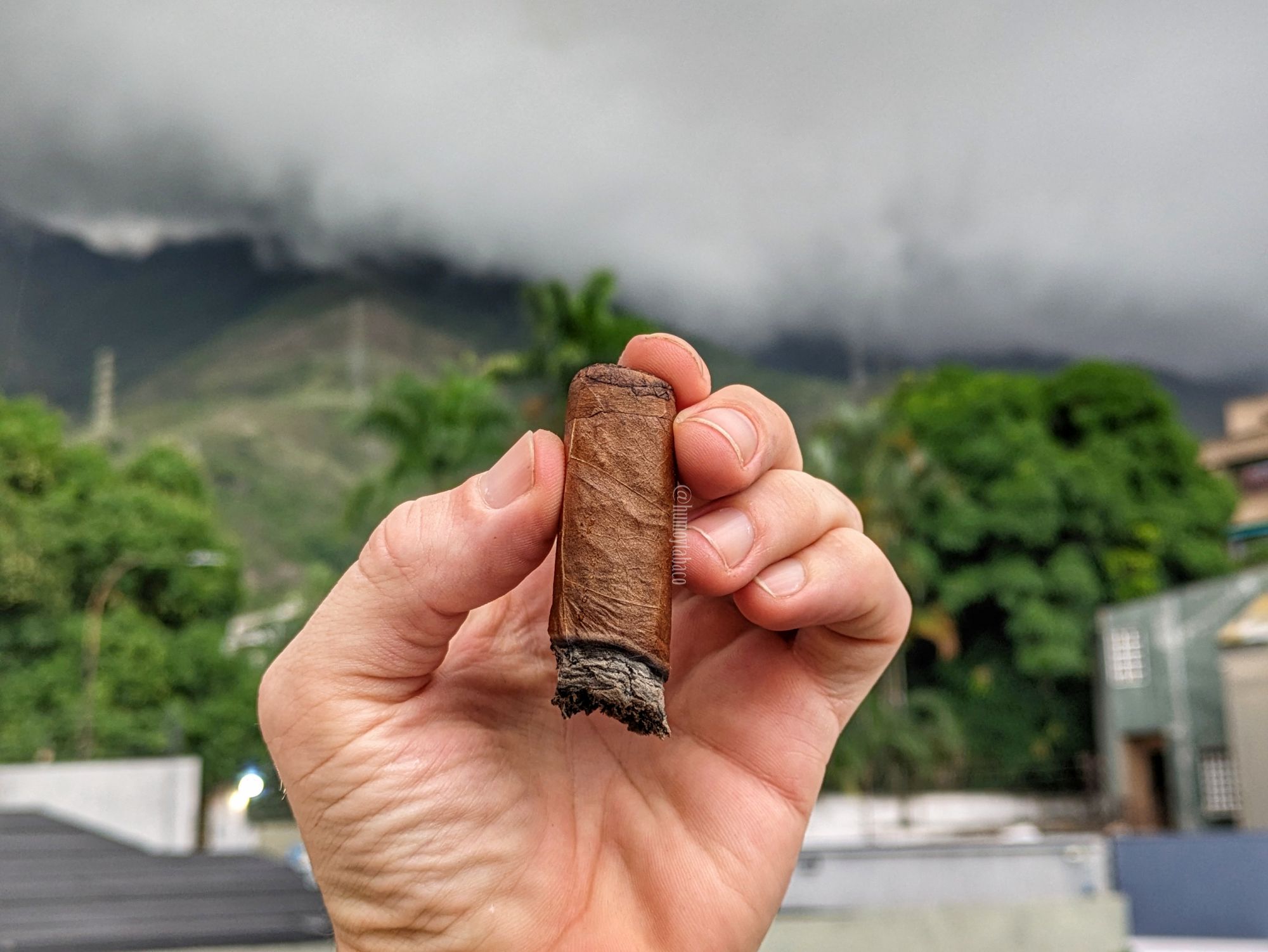 Nestor Miranda – Don Lino Africa (Robusto) – Humo y Tabaco