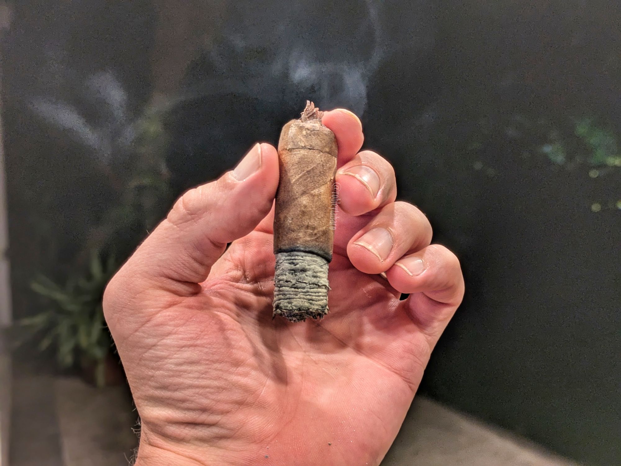 La Instructora – Perfection (Royal Corona) – Humo y Tabaco