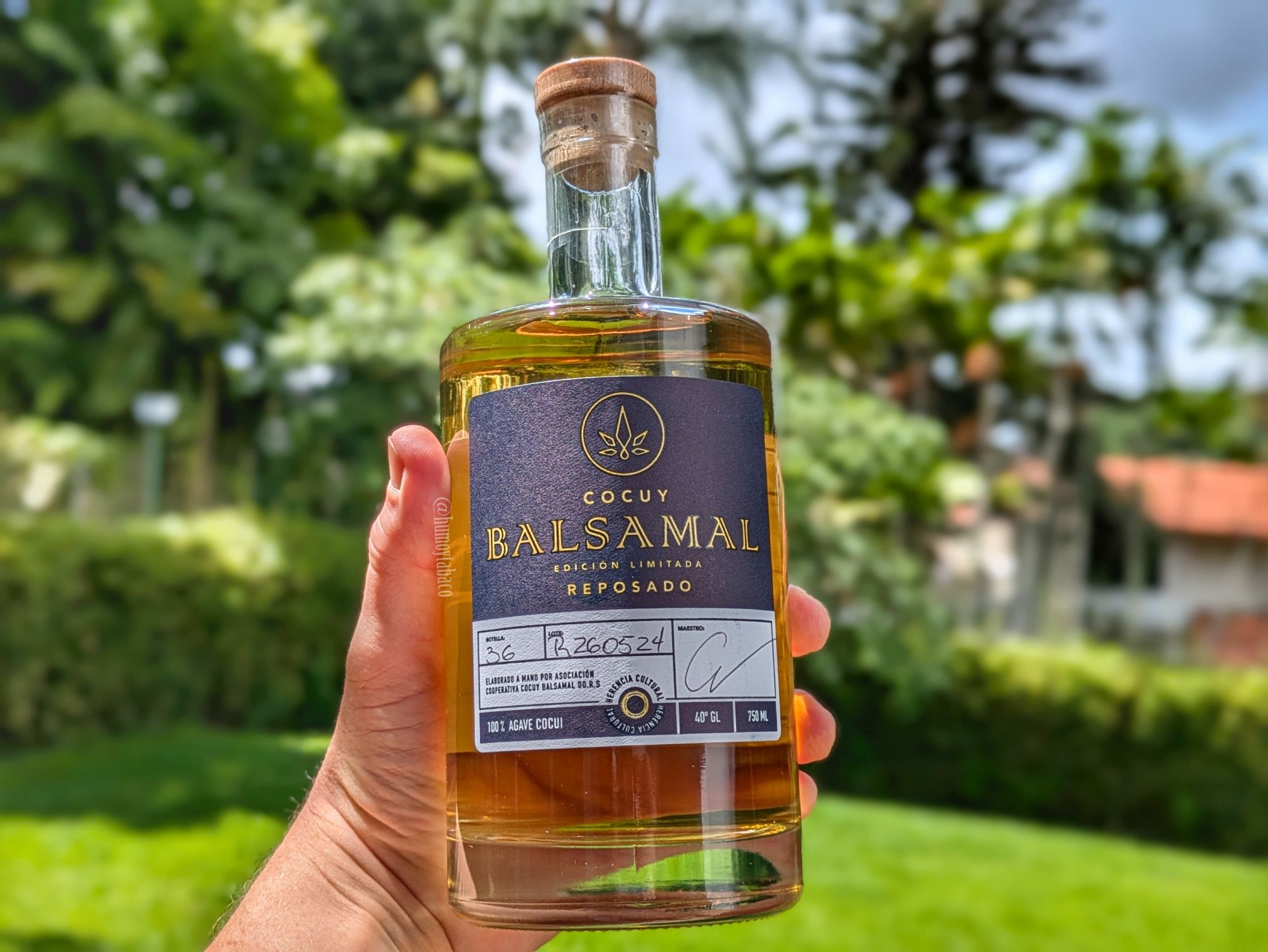 Cocuy: Balsamal Reposado – Humo y Tabaco