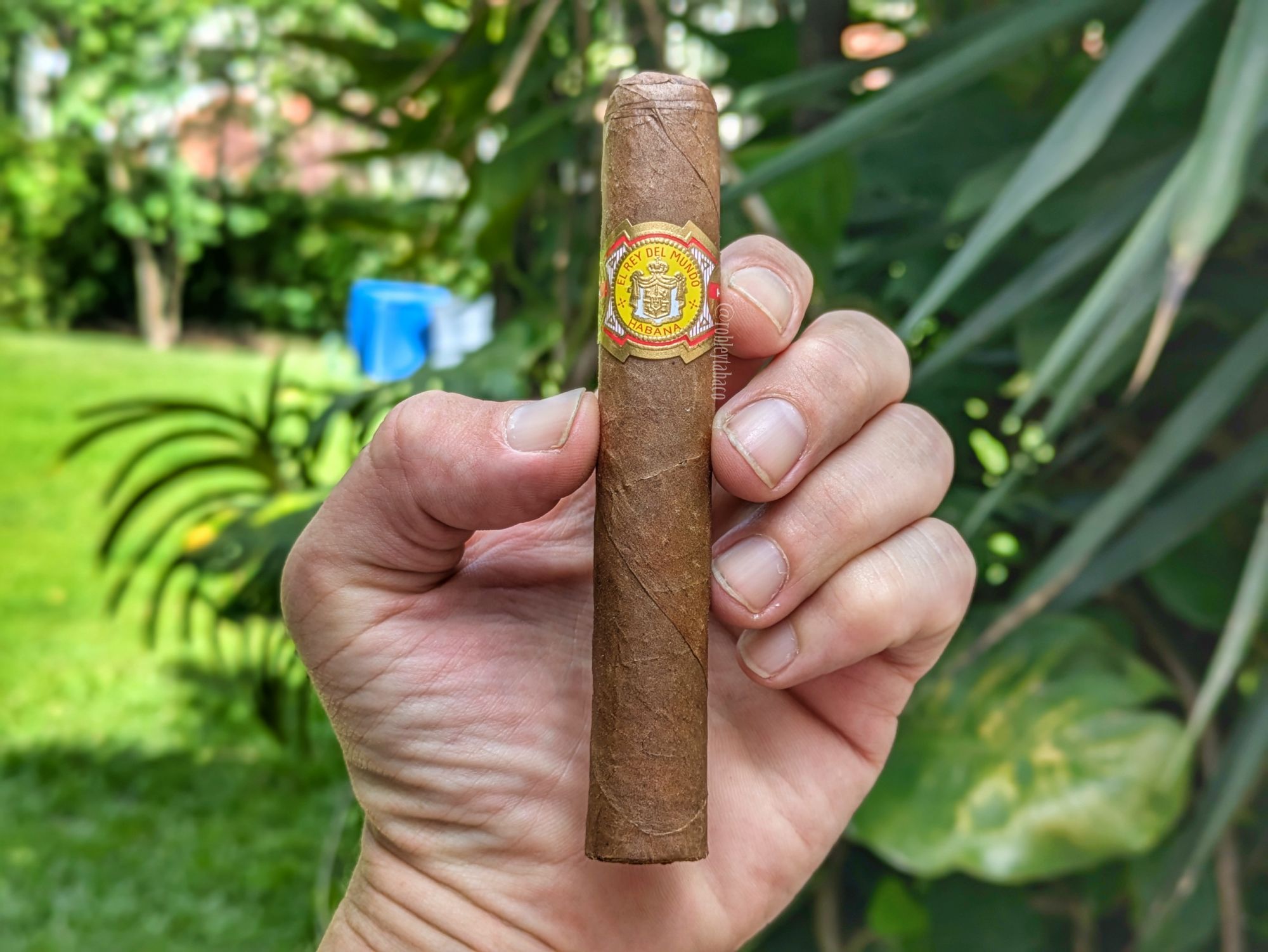 El Rey del Mundo – Choix Supreme – Humo y Tabaco