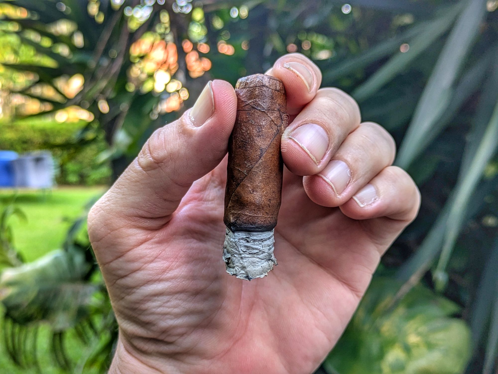 Puros de Santander – Theo (Robusto) – Humo y Tabaco