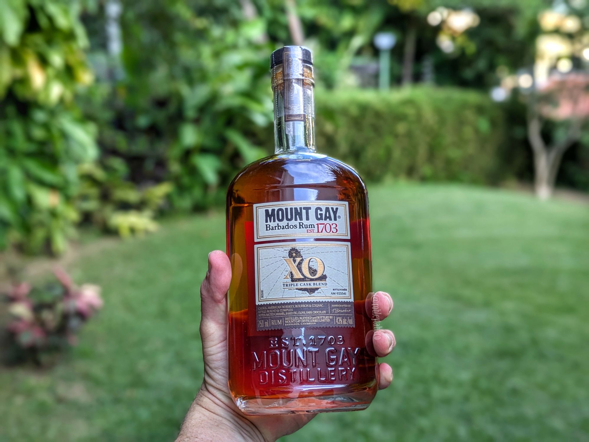 Ron: Mount Gay XO – Humo y Tabaco