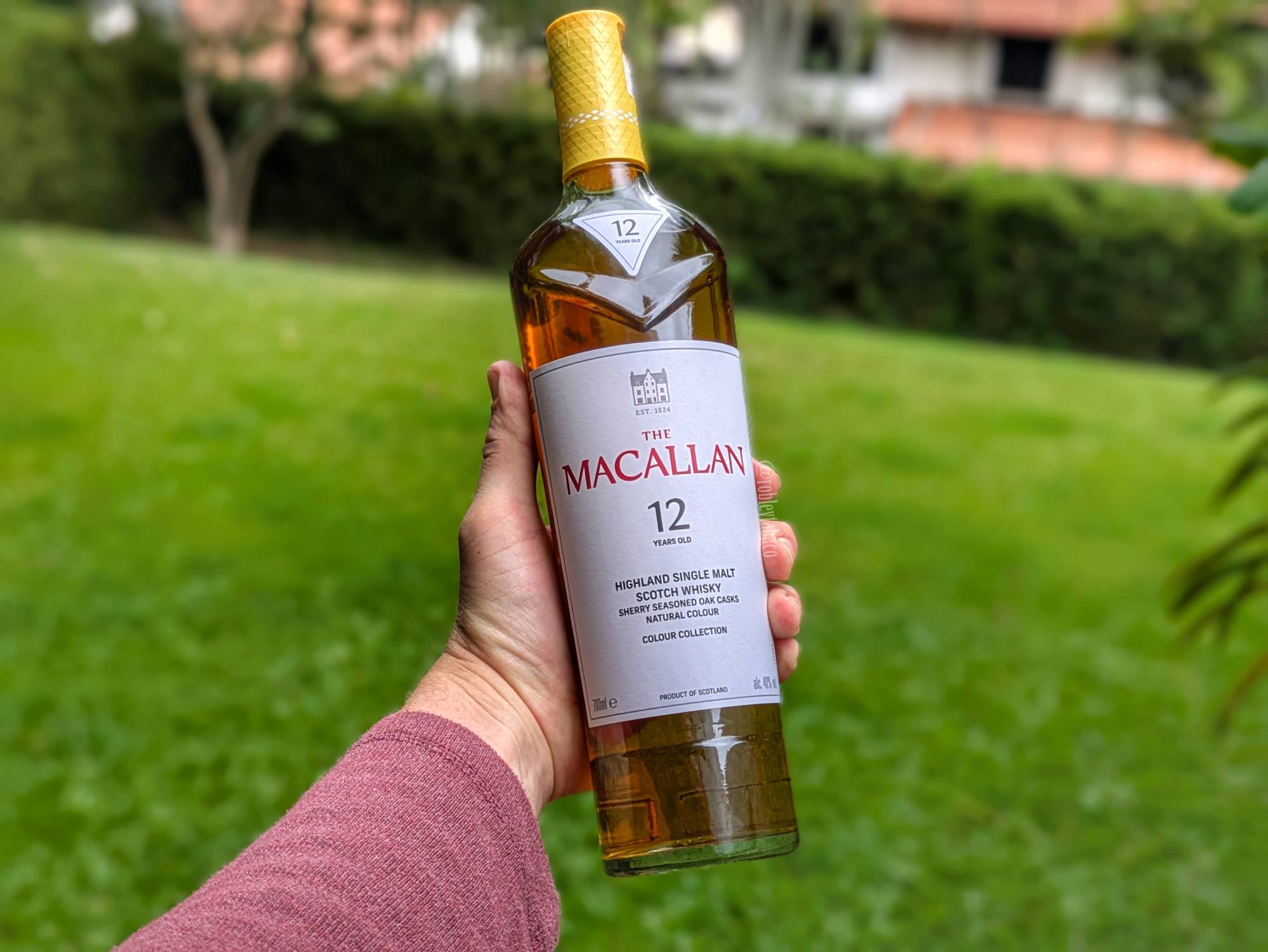 Whisky: The Macallan 12 Year Colour Collection – Humo y Tabaco