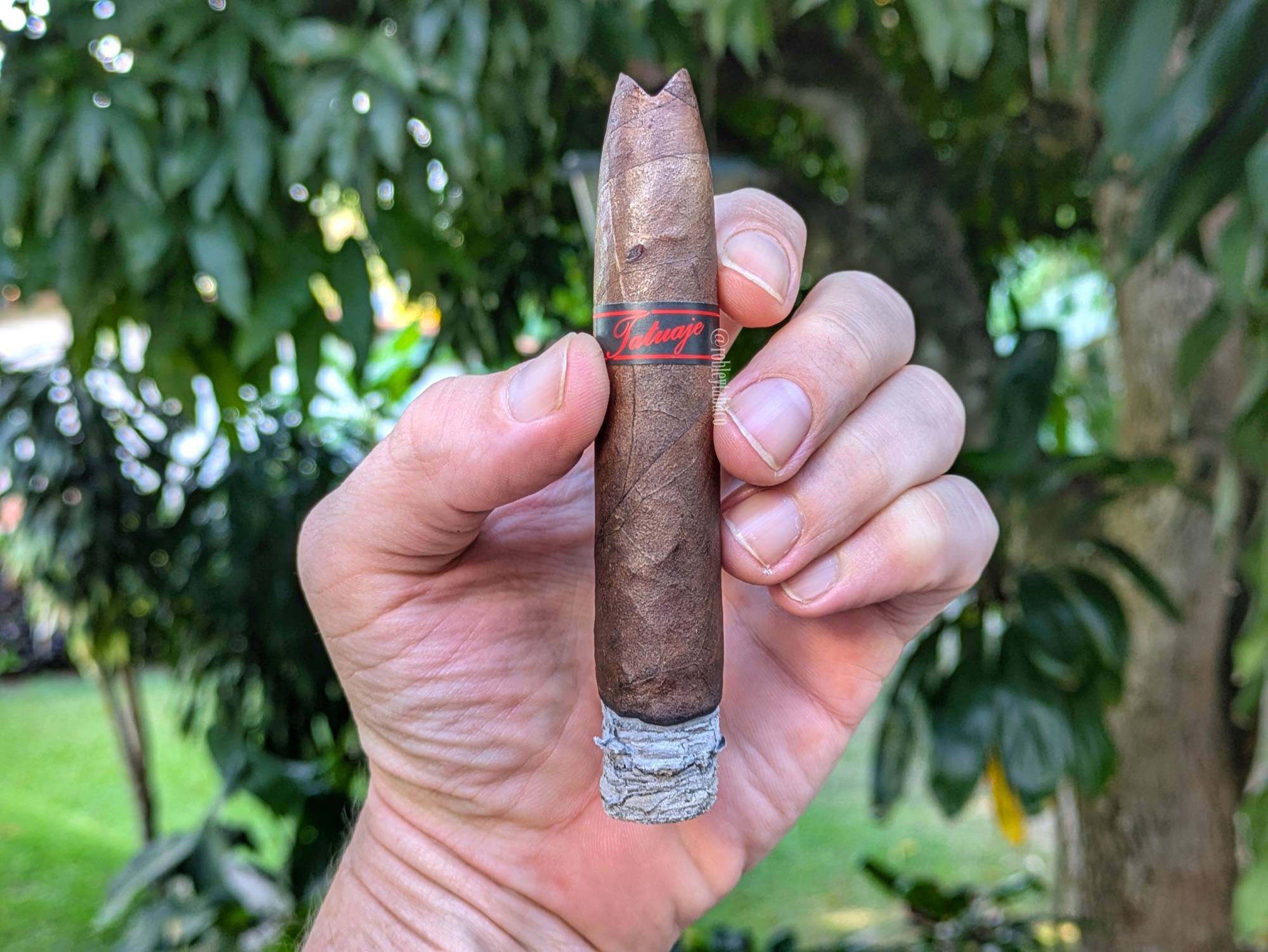 Tatuaje – Drac (Short Torpedo) – Humo y Tabaco