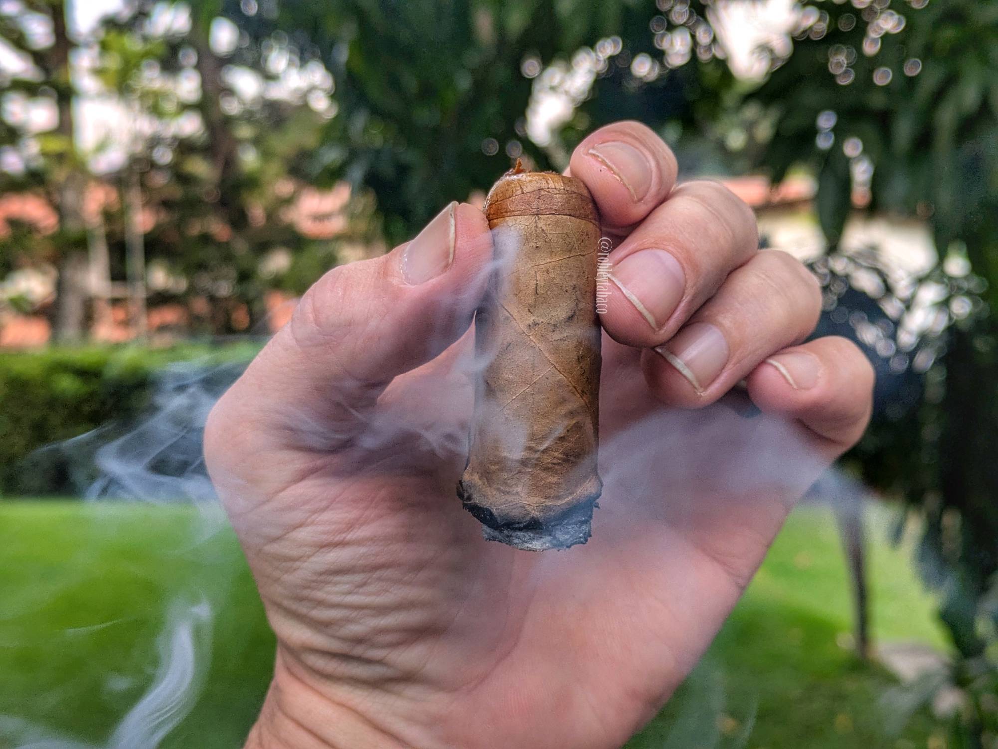 La Flor Dominicana – Suave (Máximo) – Humo y Tabaco