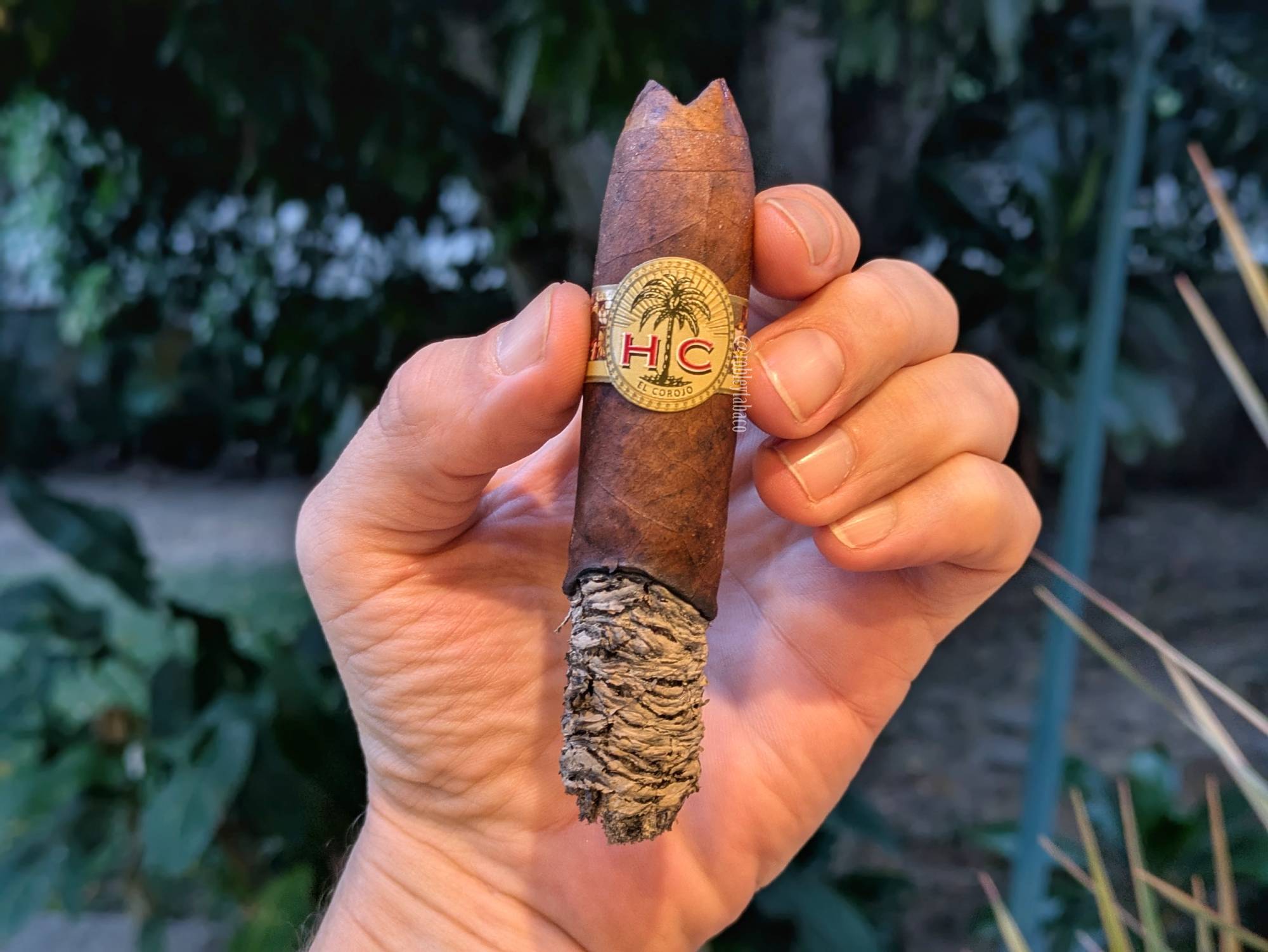 Havana Collection – HC Habano Colorado (Perfecto) – Humo y Tabaco