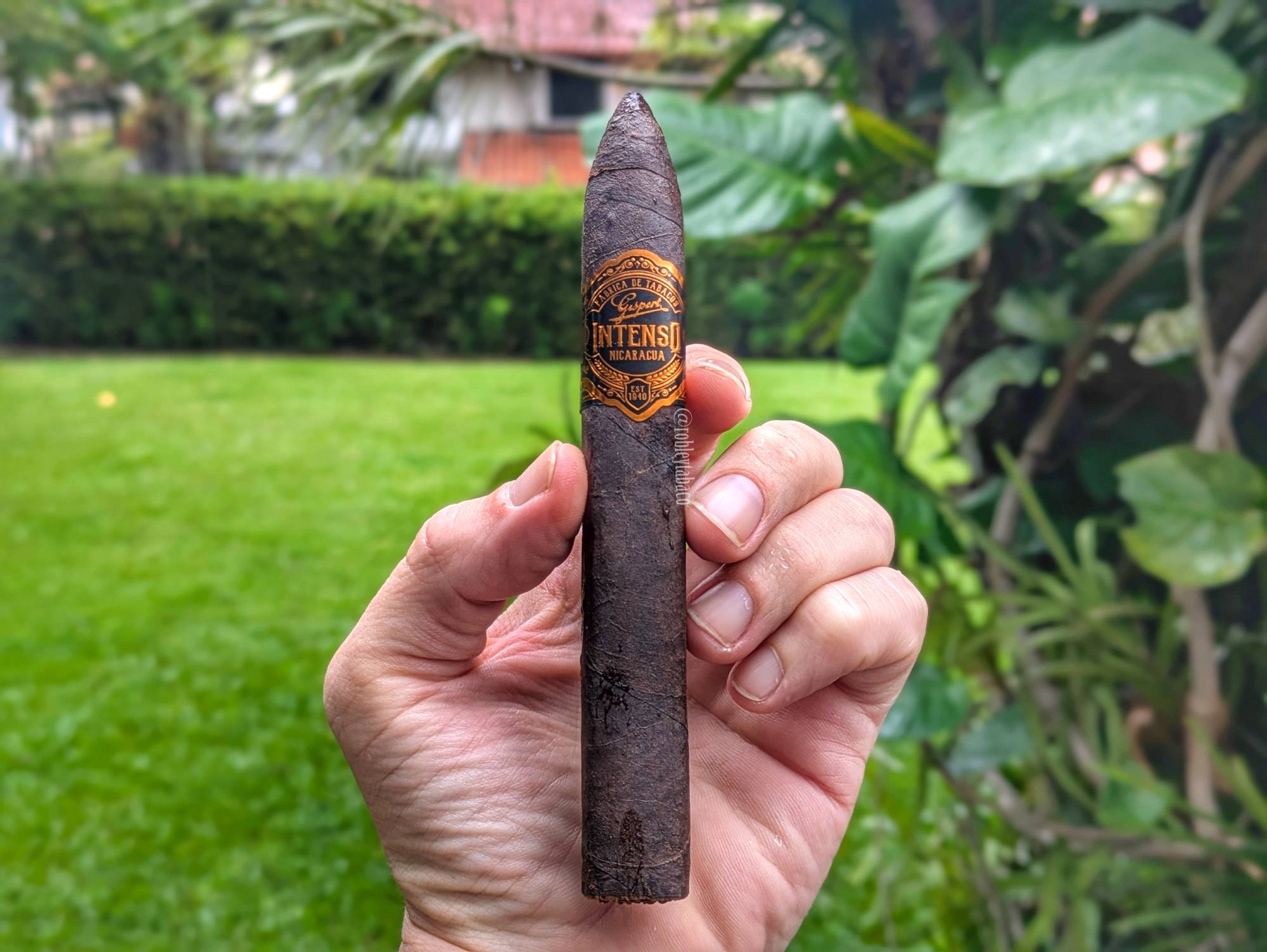 Gispert – Intenso (Belicoso) – Humo y Tabaco