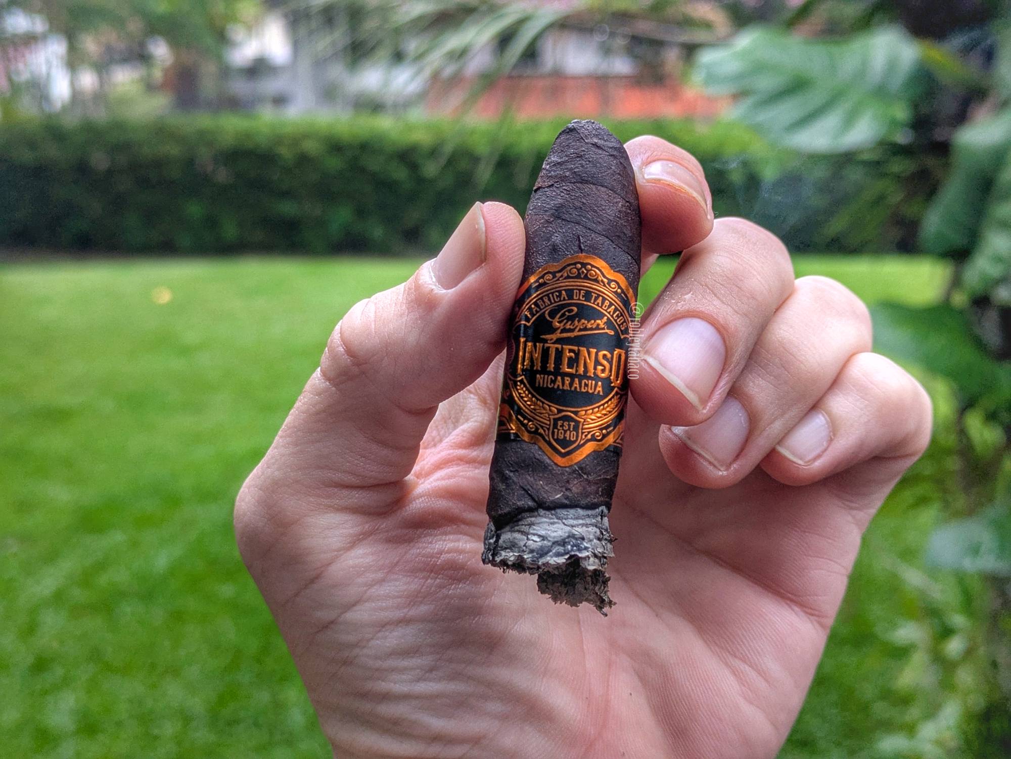 Gispert – Intenso (Belicoso) – Humo y Tabaco